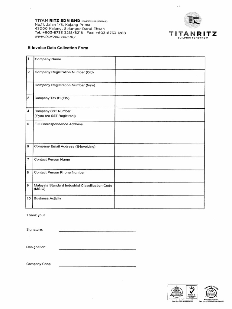 E-Invoice Data Form | PDF