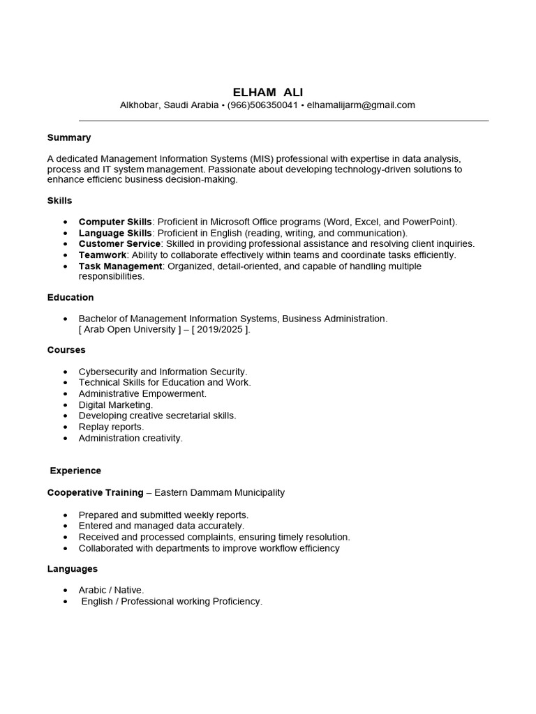 MIS Professional Resume Summary | PDF