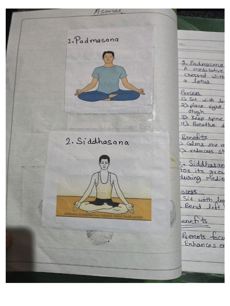Yoga File (Asana+Pranayams) | PDF
