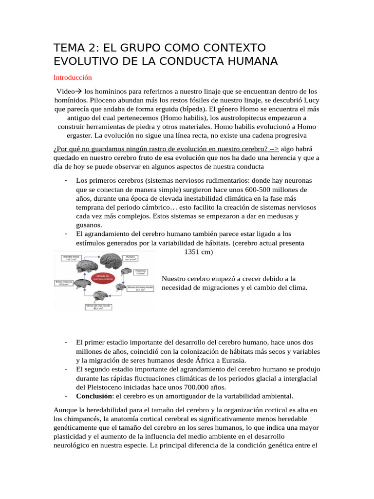 Evolución del Cerebro y Conducta Social | PDF | Altruismo | Homo