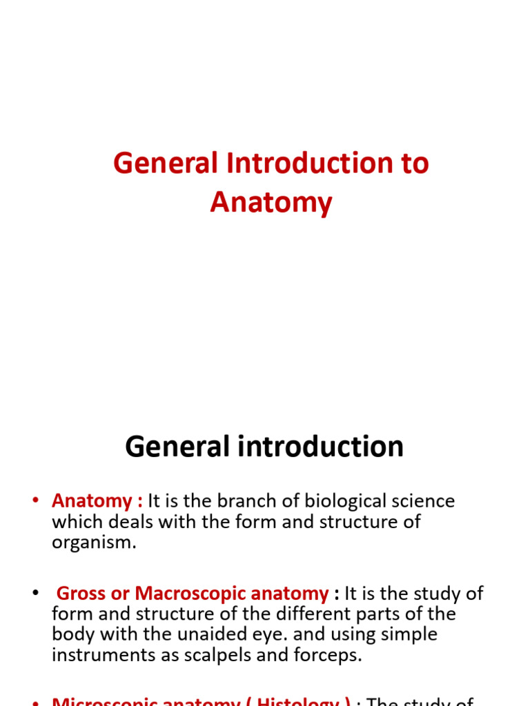 Introduction to Anatomy and Its Branches | PDF | Anatomical Terms Of ...