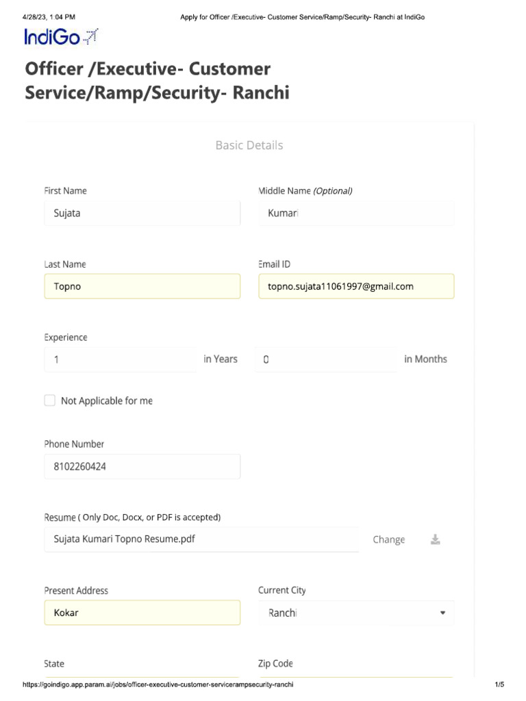 Indigo Application | PDF