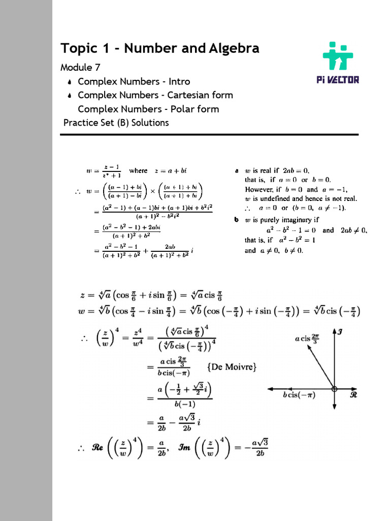 Topic 1-Module-7 Practice Set (B) Solutions | PDF