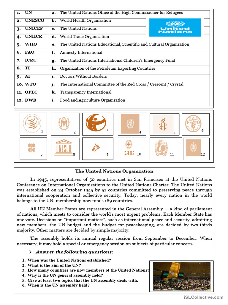 Overview of the United Nations Structure | PDF | United Nations ...