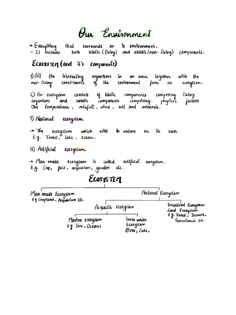 Notes Environment | PDF