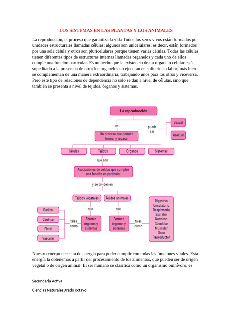 Los Sistemas en Las Plantas y Los Animales | PDF | Plantas | Organismos