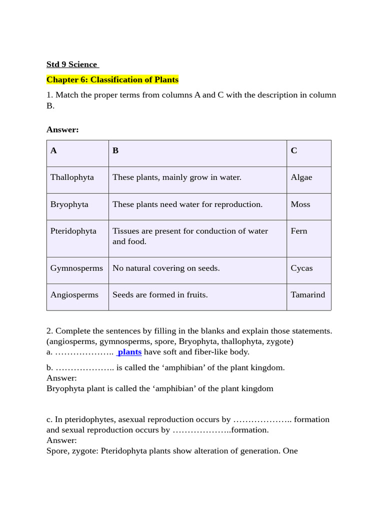 Plant Classification Overview | PDF | Seed | Plants