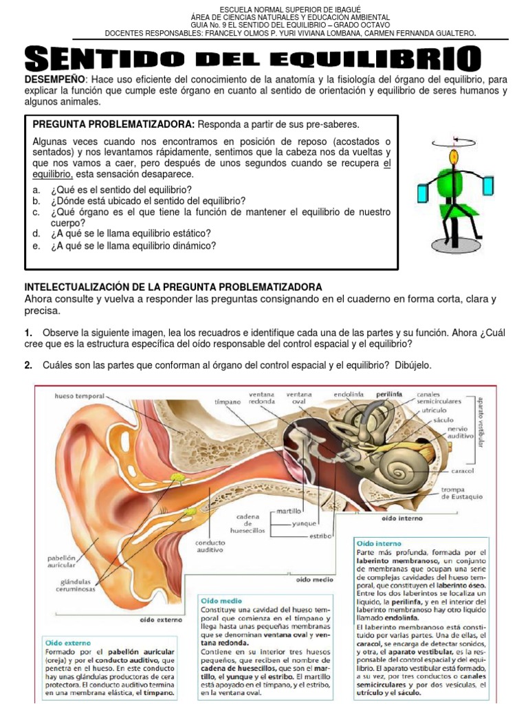 Guía 9 "El Sentido Del Equilibrio" | PDF | Movimiento (física) | Bienestar