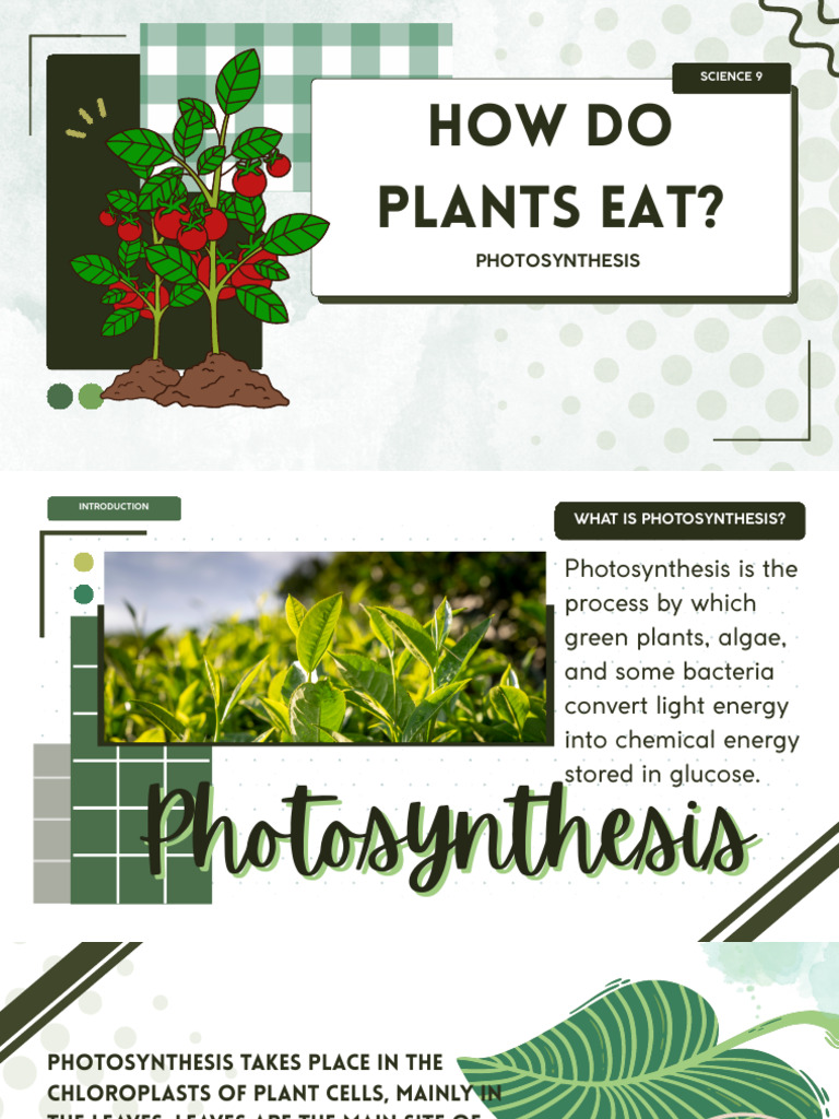 Green Aesthetic Scrapbook Style Patterned Background Photosynthesis ...