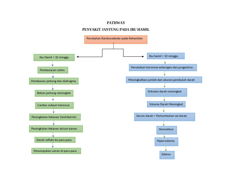 PATHWAY Penyakit Jntung Ibu Hamil | PDF