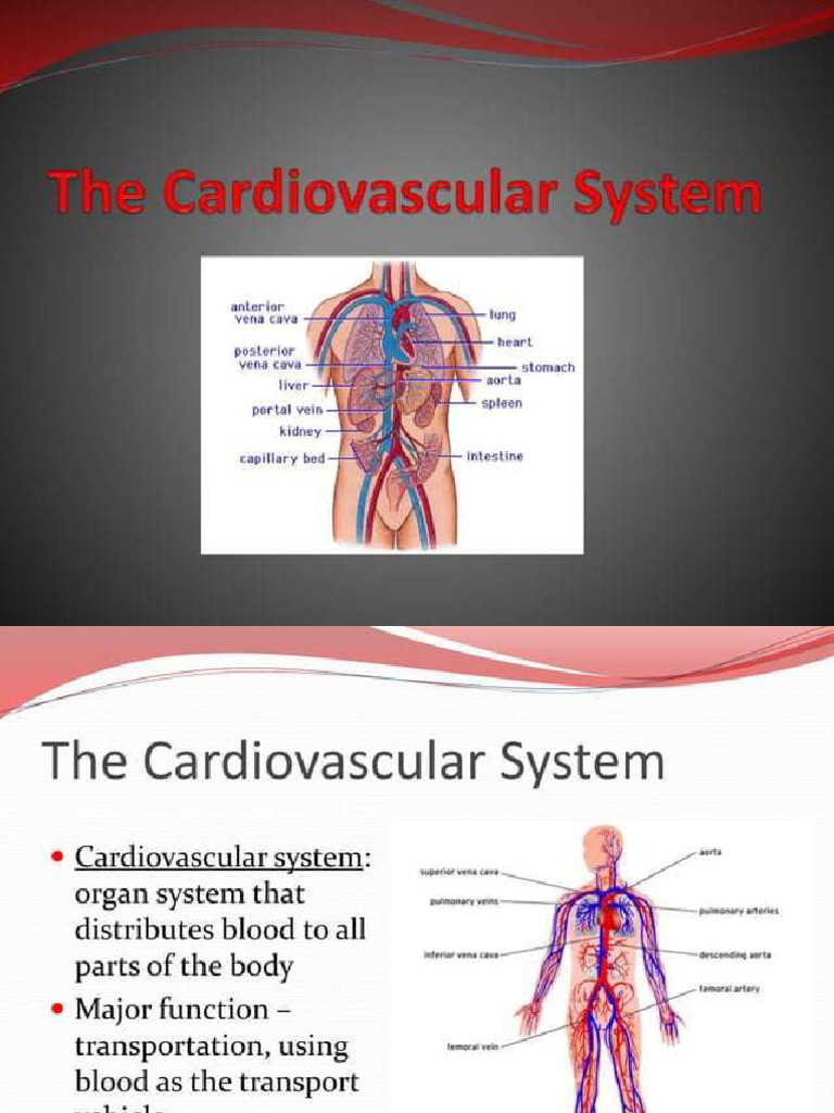 Cvs | PDF