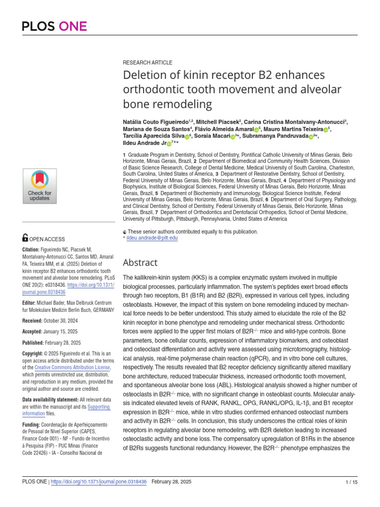 Deletion of Kinin Receptor B2 Enhances Orthodontic Tooth Movement and ...