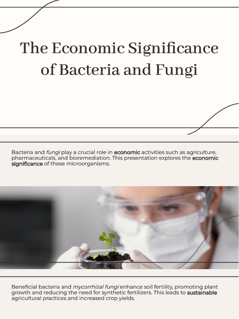 Slidesgo The Economic Significance of Bacteria and Fungi ...