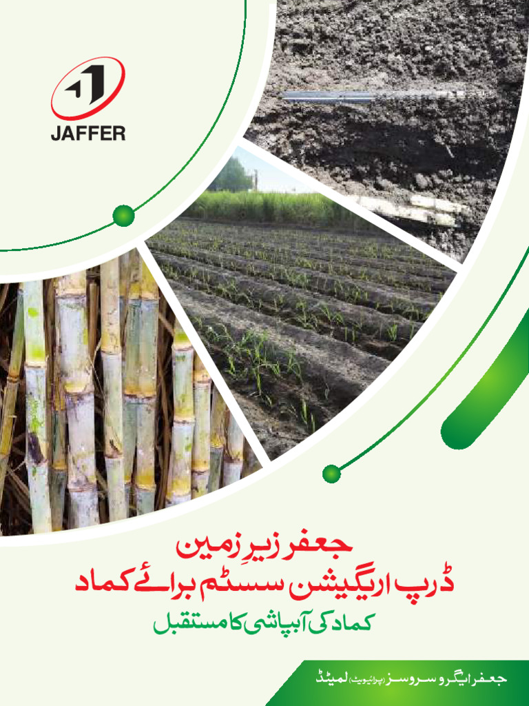Sub Surface Irrigation | PDF