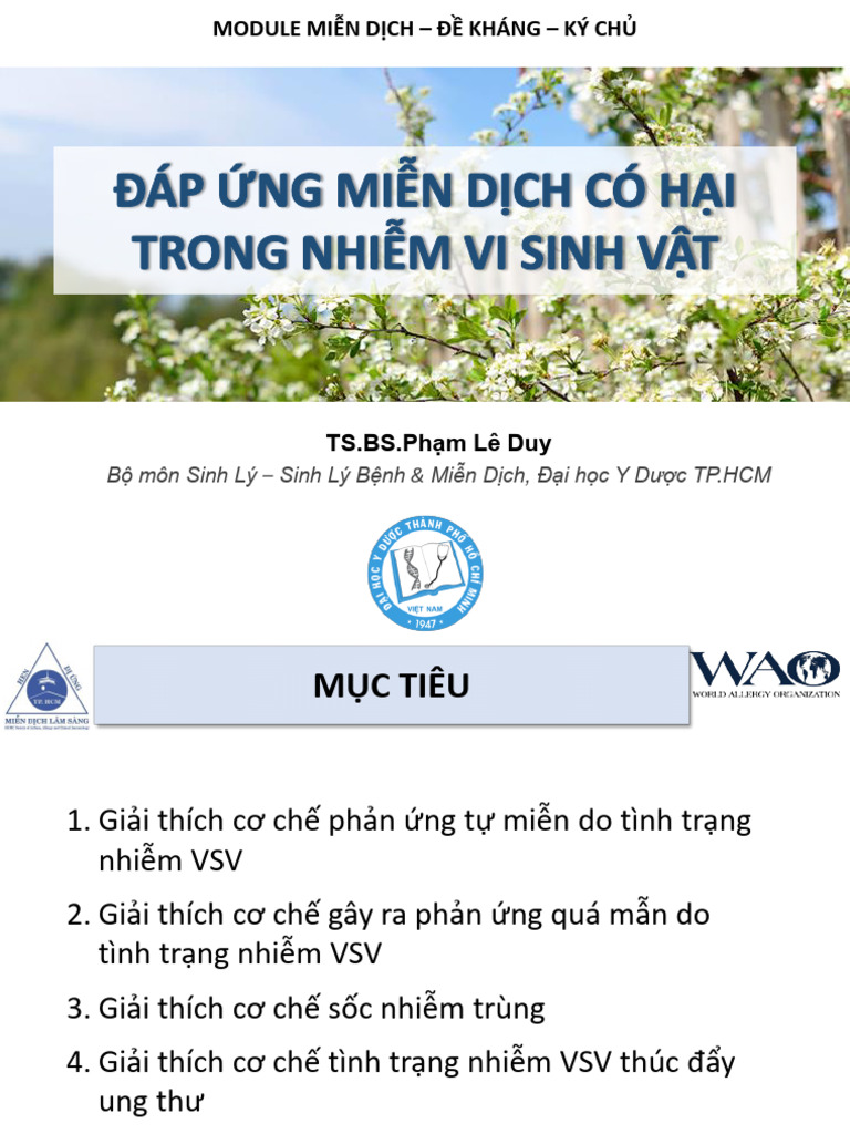 Đáp Ứng Miễn Dịch Có Hại Trong Nhiễm VSV | PDF