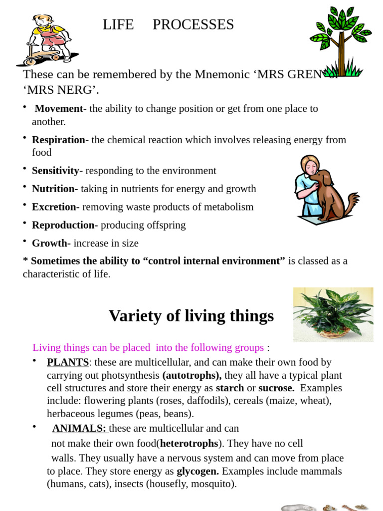 Life Processes | PDF | Cell (Biology) | Vacuole