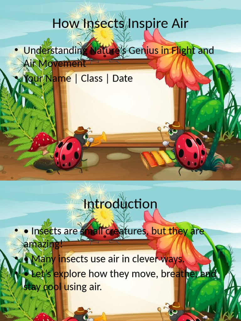 Insect Flight and Air Adaptations | PDF