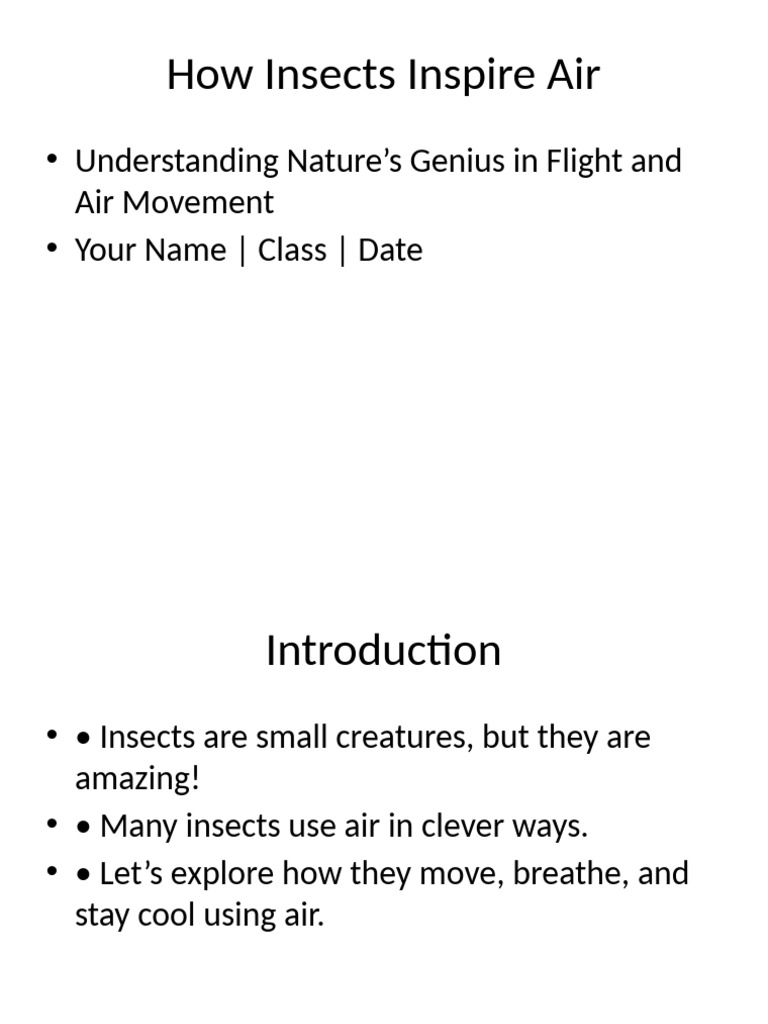 How Insects Inspire Air | PDF
