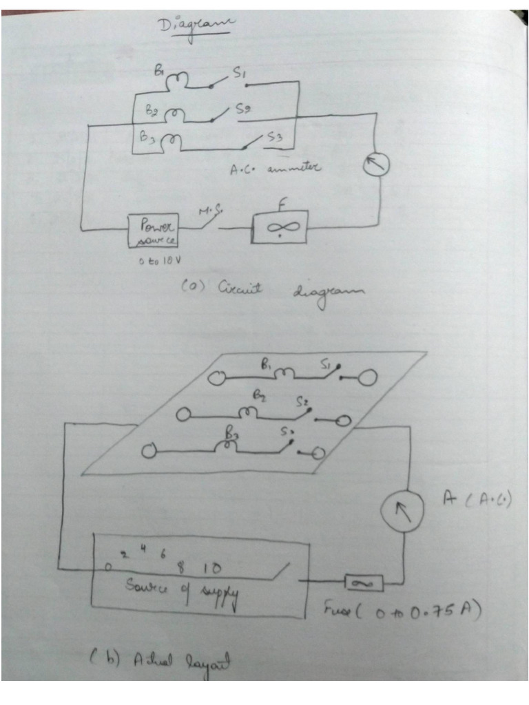 Phy Activity File! | PDF