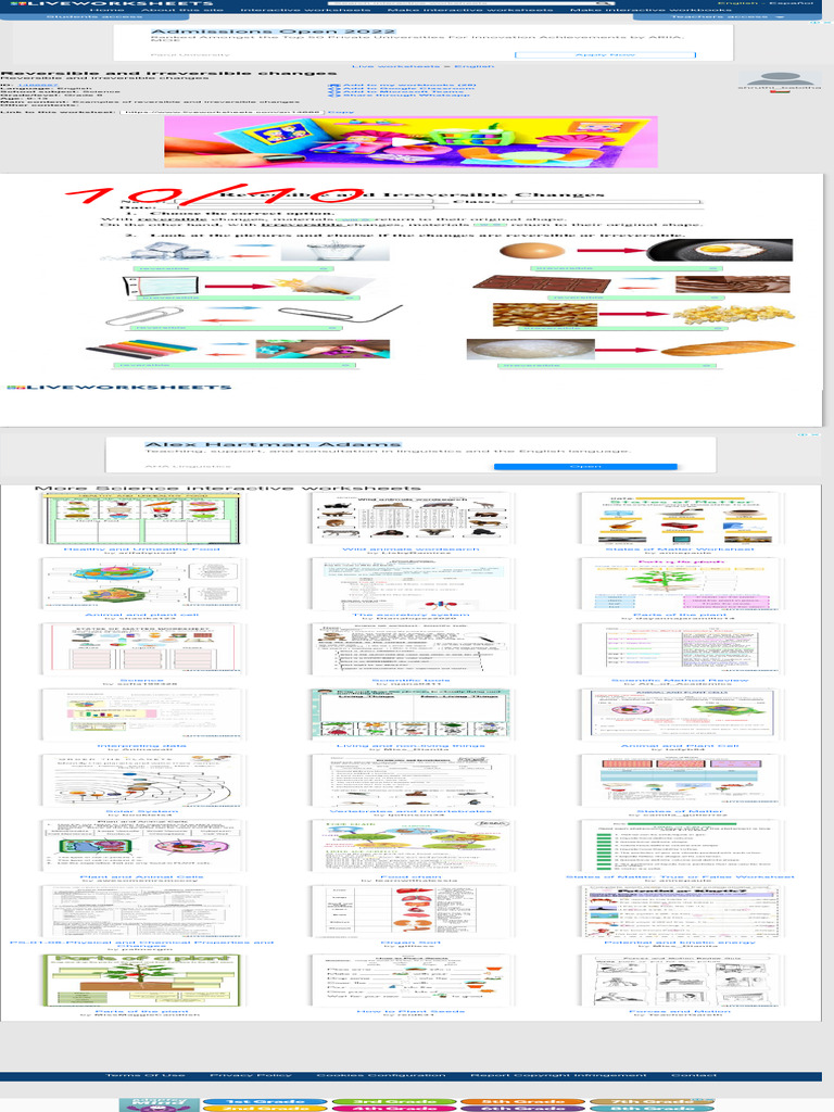 Reversible and Irreversible Changes Online Worksheet | PDF | Science