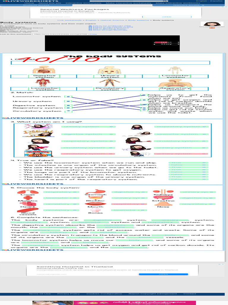 Body Systems Online Worksheet | PDF | Urinary System | Circulatory System