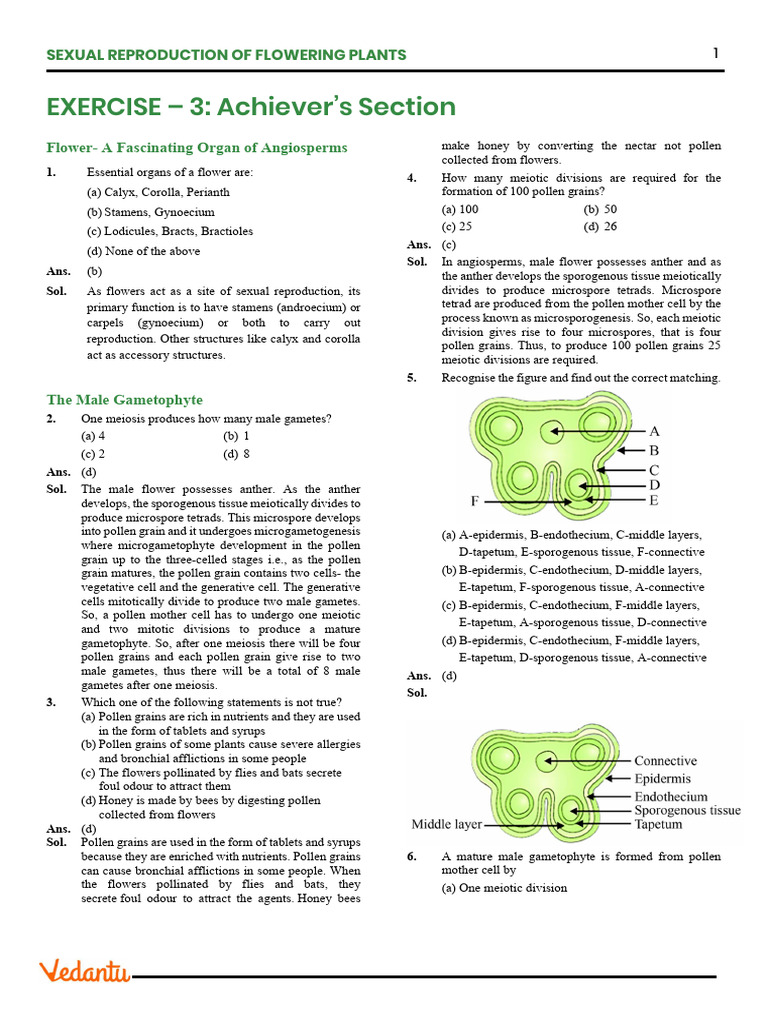 Sexual Reproduction of Flowering Plants EX-3 | PDF | Ploidy | Seed