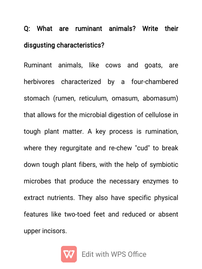 Characteristics of Ruminant Animals | PDF