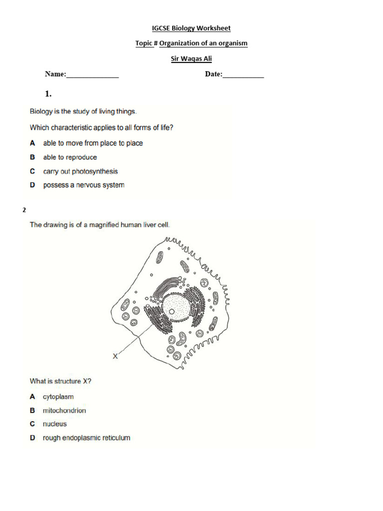 IGCSE Biology Worksheet Cell Structure | PDF