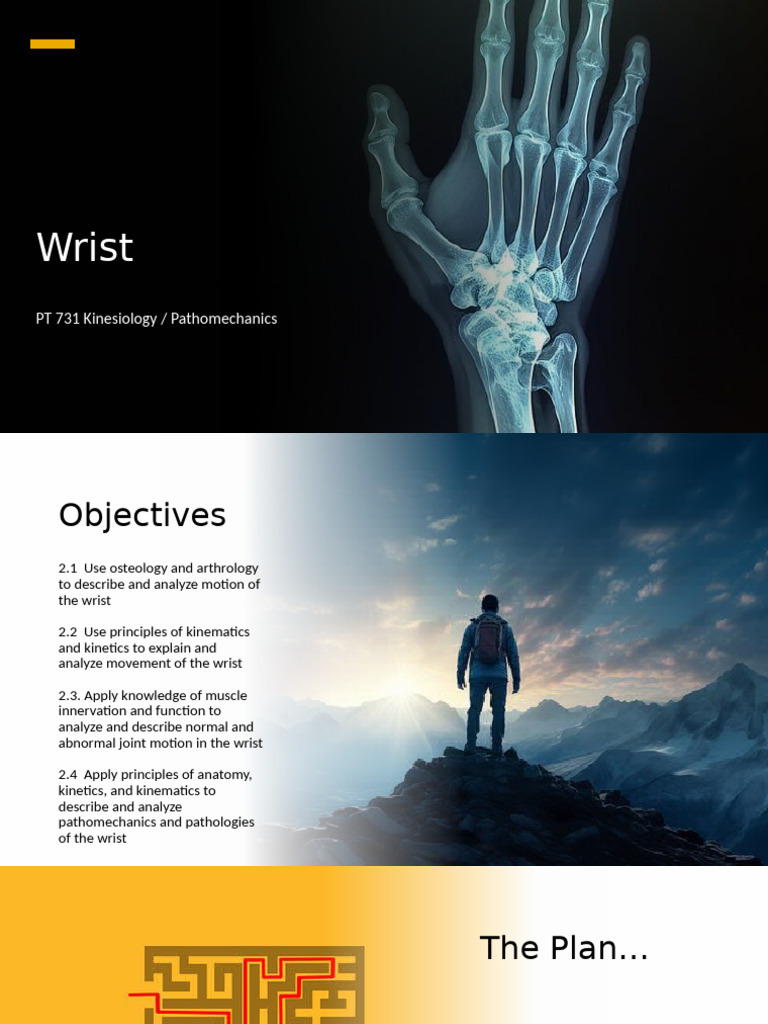 Wrist Osteology, Arthrology, Kinematics | PDF | Musculoskeletal System ...