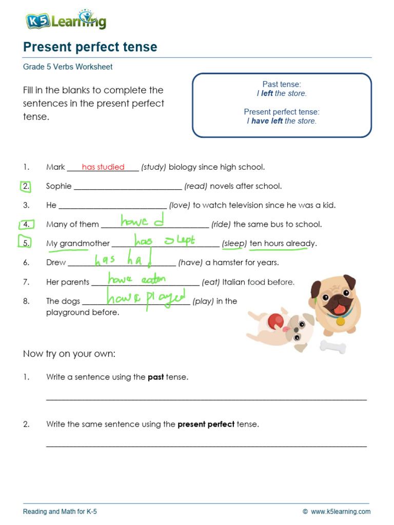 Present Perfect Tense Worksheet for Grade 5 | PDF