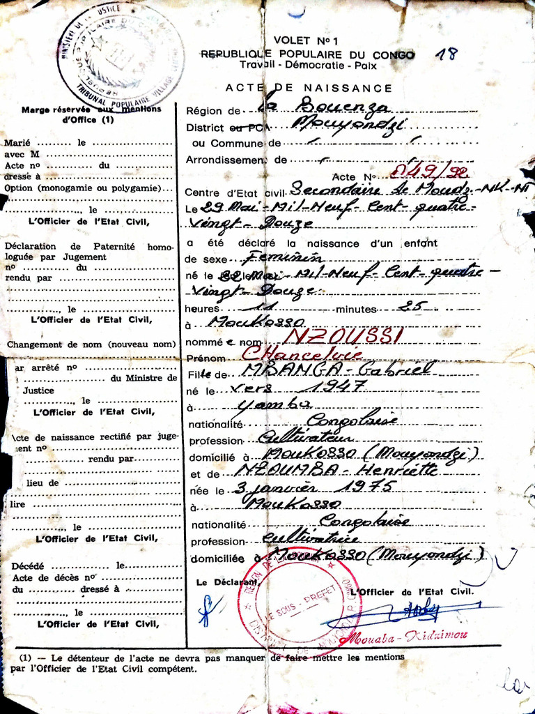 Nzoussi Chancelvie | PDF