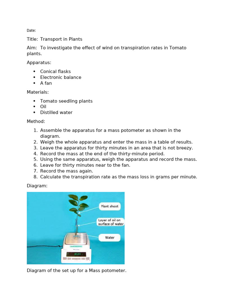 Transpiration Lab | PDF