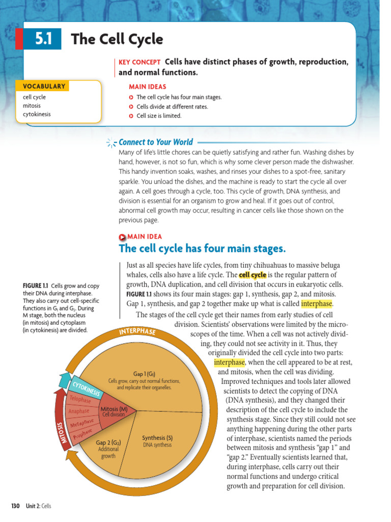 Unit 2 Chapter 5 Lesson 5.1 The Cell Cycle | PDF | Mitosis | Cell (Biology)