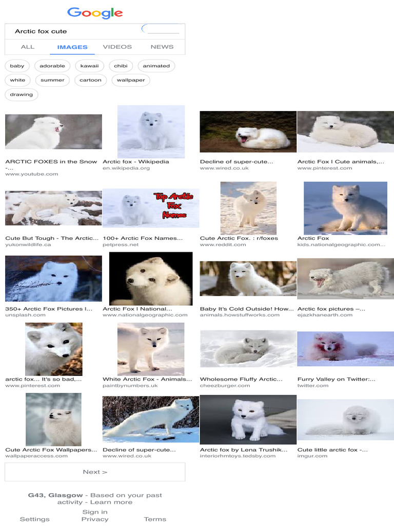 Arctic Fox Cute - Google Search | PDF