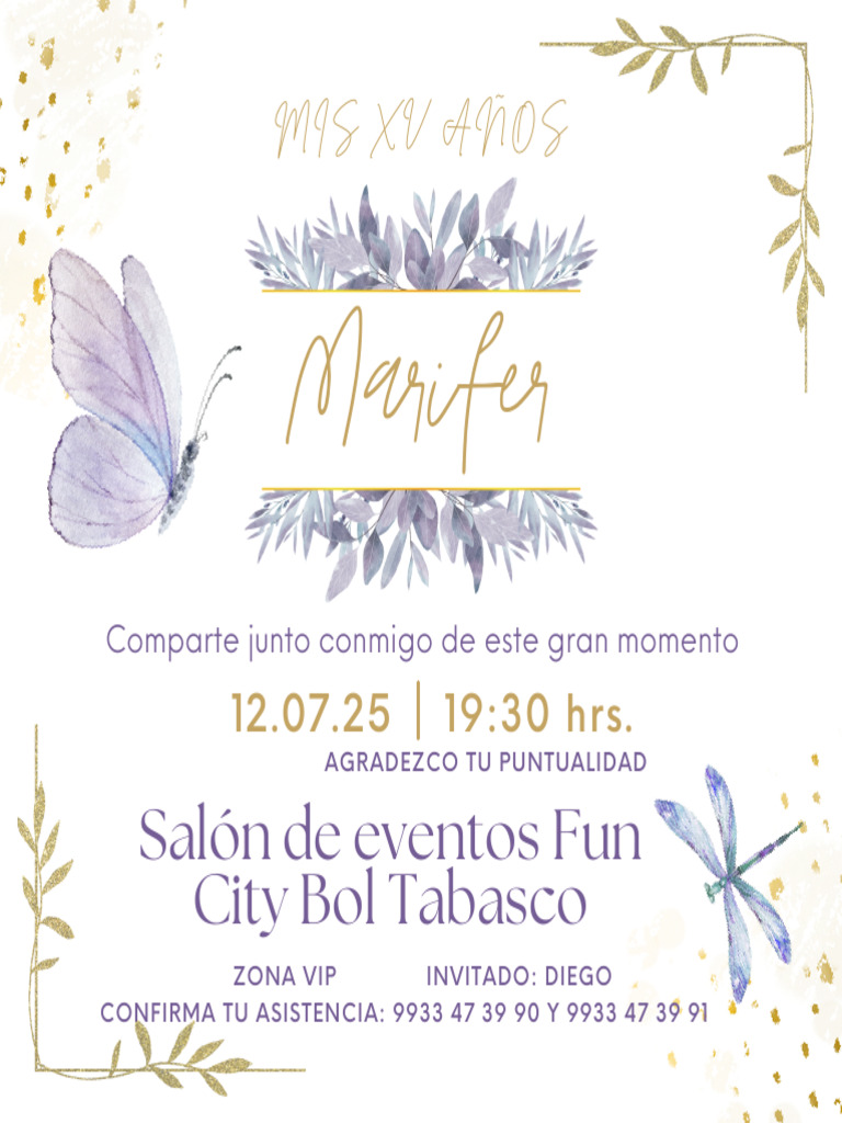 XV Marifer - Diego | PDF