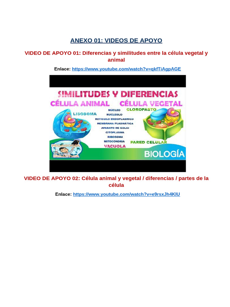 Anexo 3 - Unidad1 - 1° - Cyt - 2025 | PDF