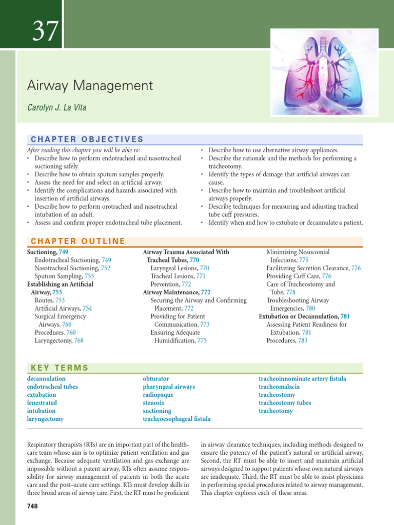 Airway Management | PDF | Respiratory Tract | Respiratory System