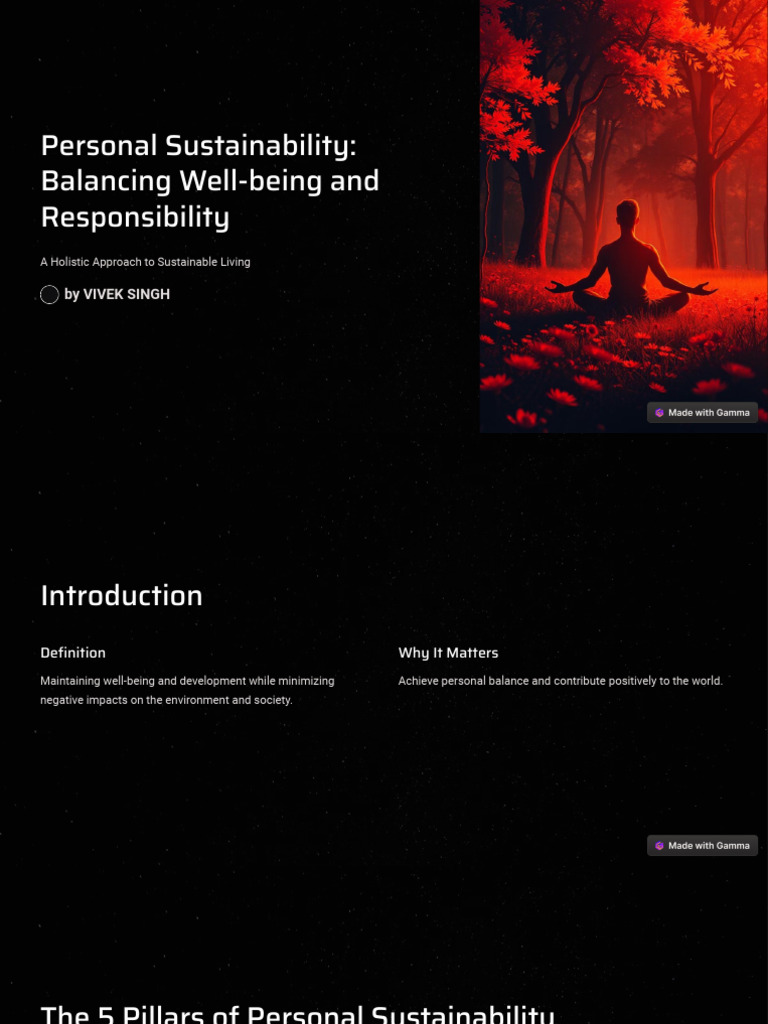 Personal Sustainability Balancing Well Being and Responsibility | PDF ...