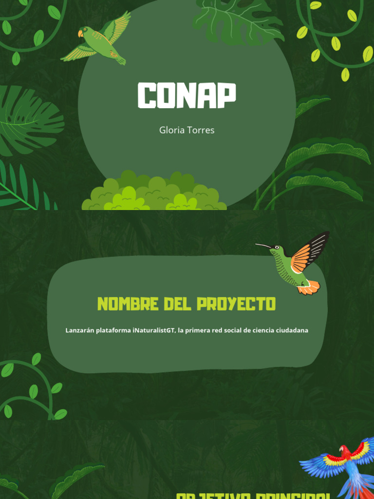 CONAP 3o Básico | PDF