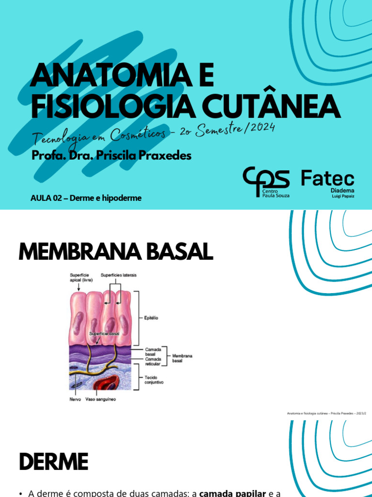 Estruturas da Pele: Derme e Hipoderme | PDF | Pele | Colágeno