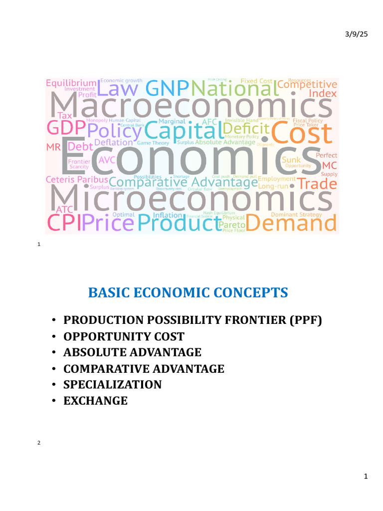 MICRO-1 PPF | PDF | Business | Economics
