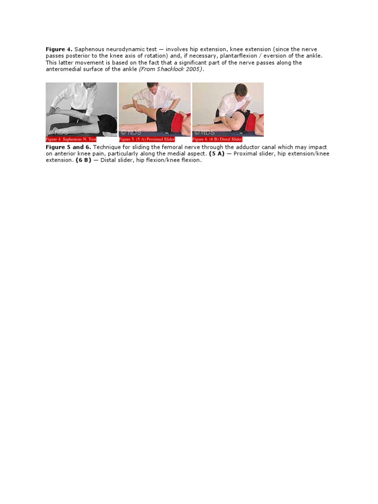 Saphenous Nerve Neurodynamic Testing | PDF