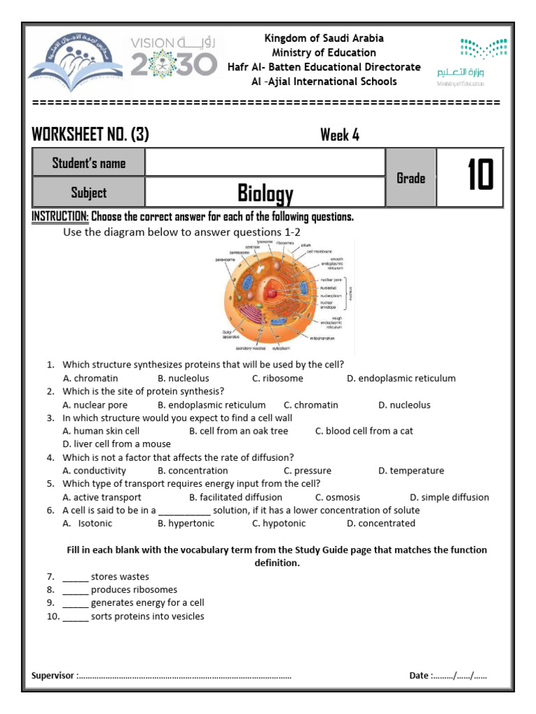 Biology Worksheet: Cell Structures & Functions | PDF
