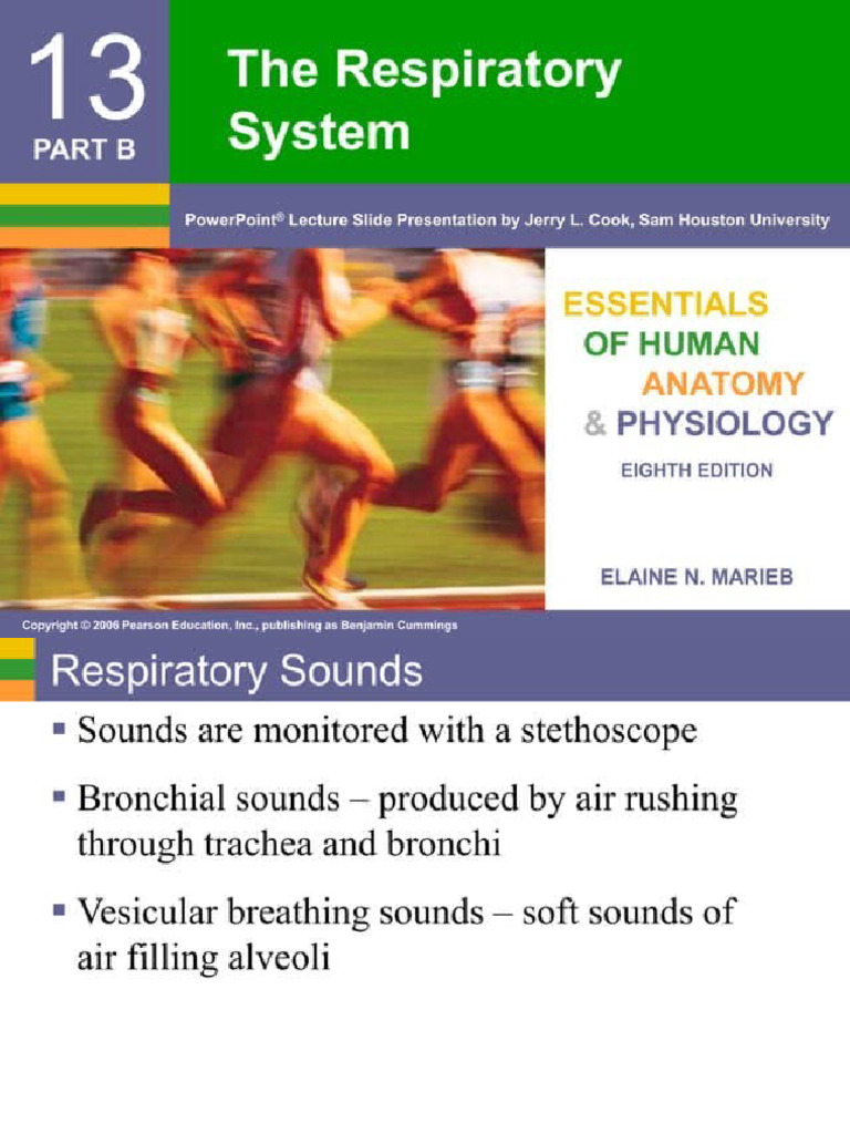 ANAPHY Chapter 13 Respiratory System | PDF