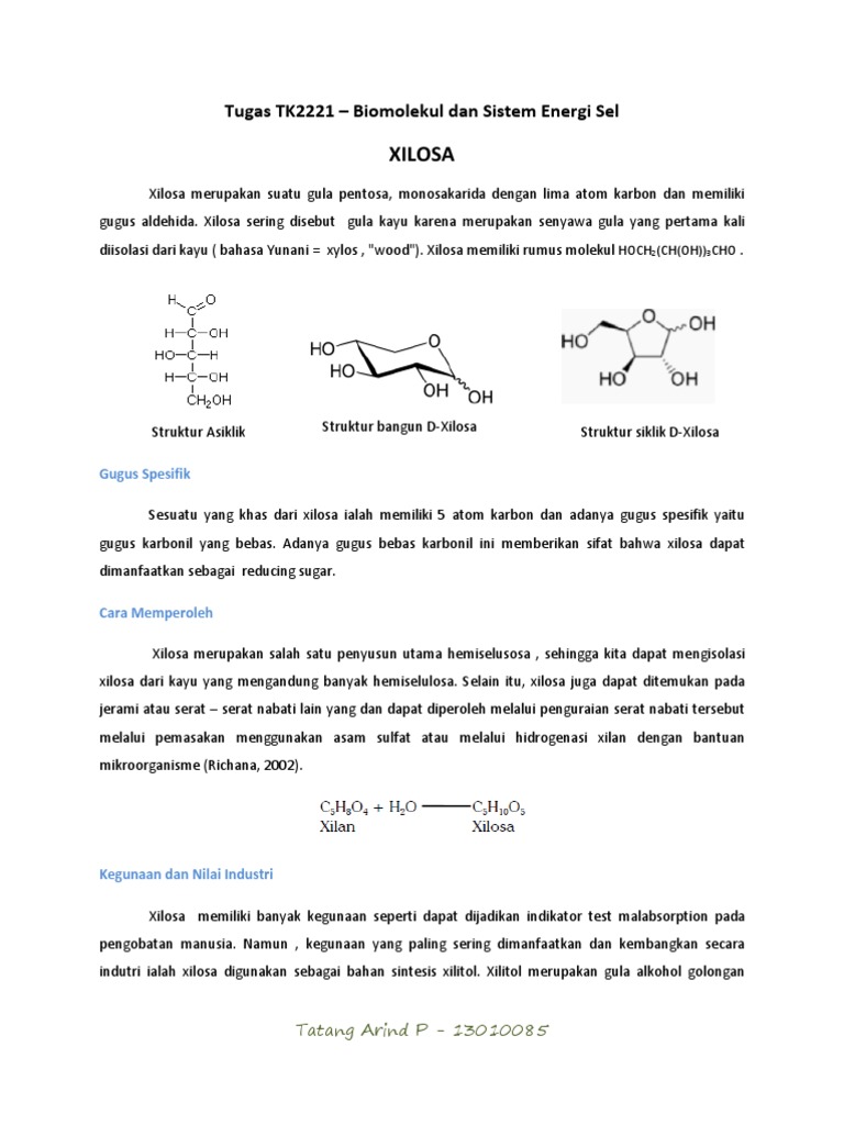 Xilosa | PDF | Kesehatan Holistik