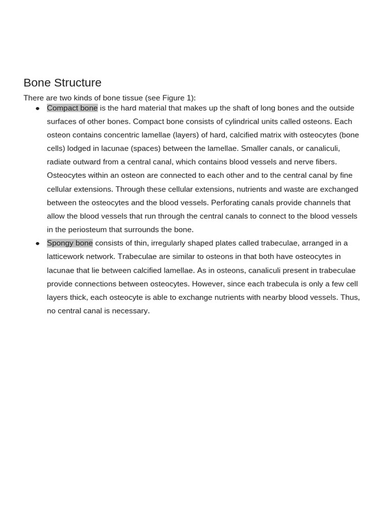 Osteon Structure in Bone Anatomy | PDF | Vertebra | Bone