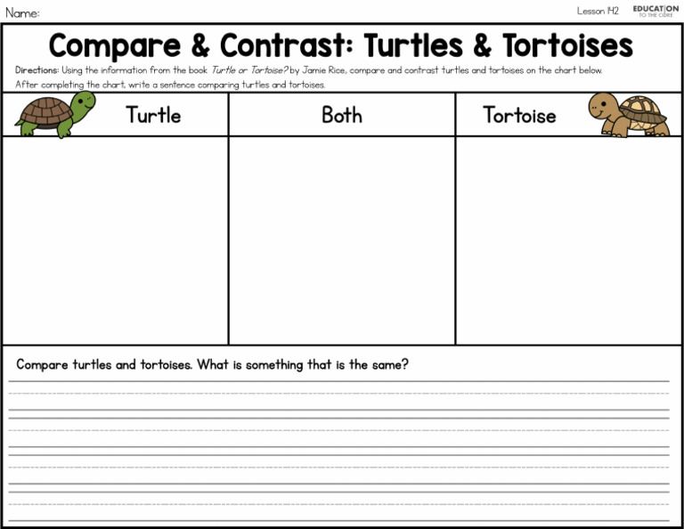 Compare Turtles and Tortoises | PDF