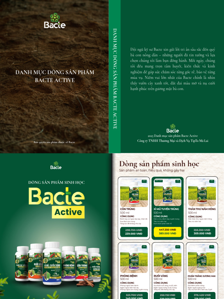 Catalogue Bacte Active | PDF