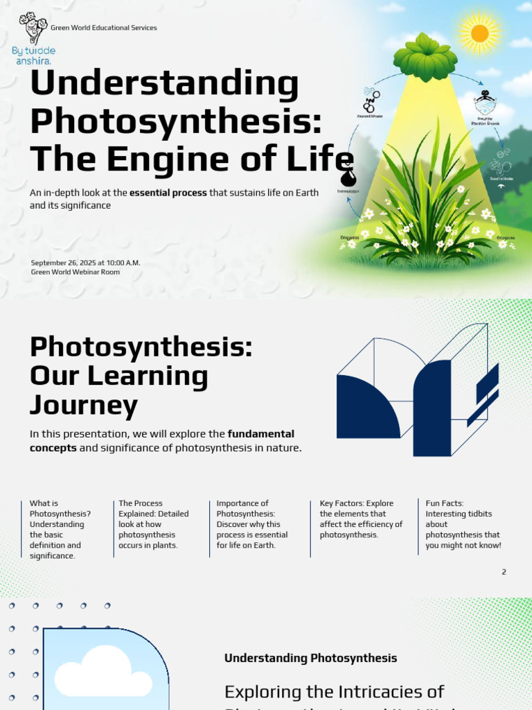 Understanding Photosynthesis Essentials | PDF | Photosynthesis | Ecosystem