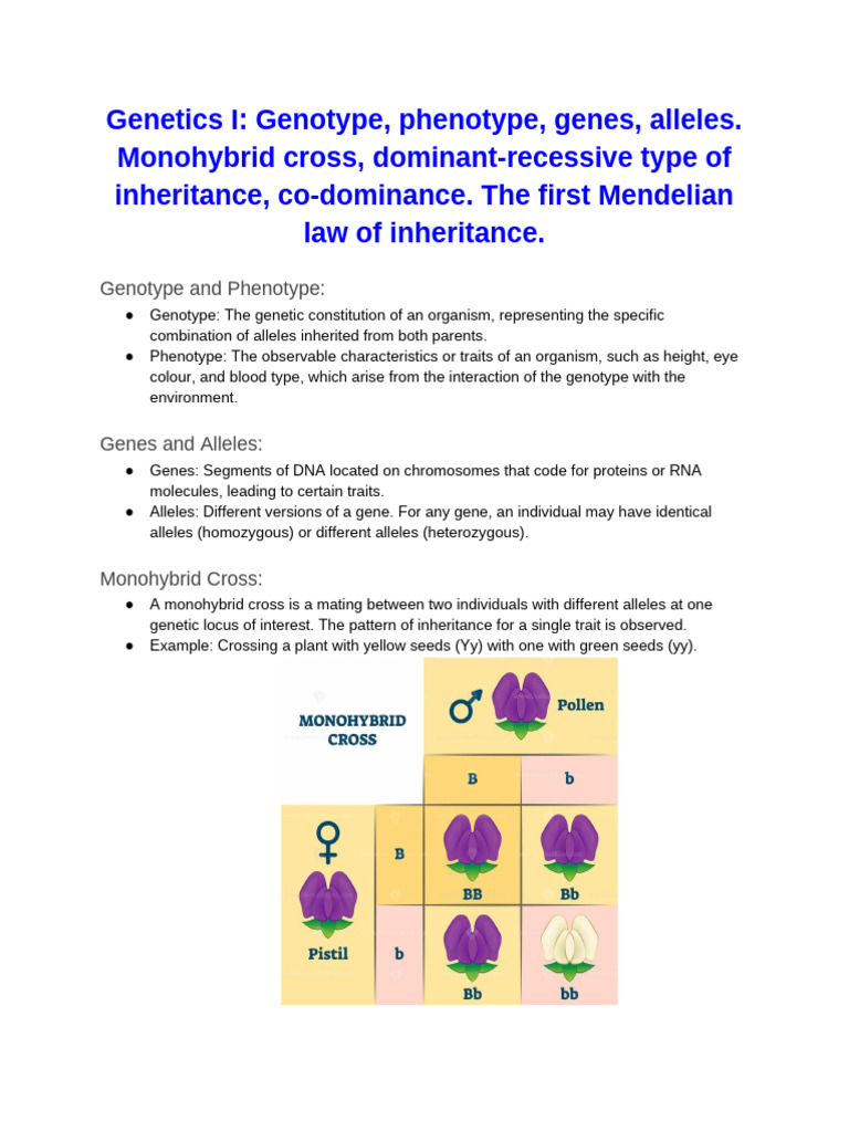 Genetics I - Genotype, Phenotype, Genes, Alleles. Monohybrid Cross, Dominant-Recessive Type of ...